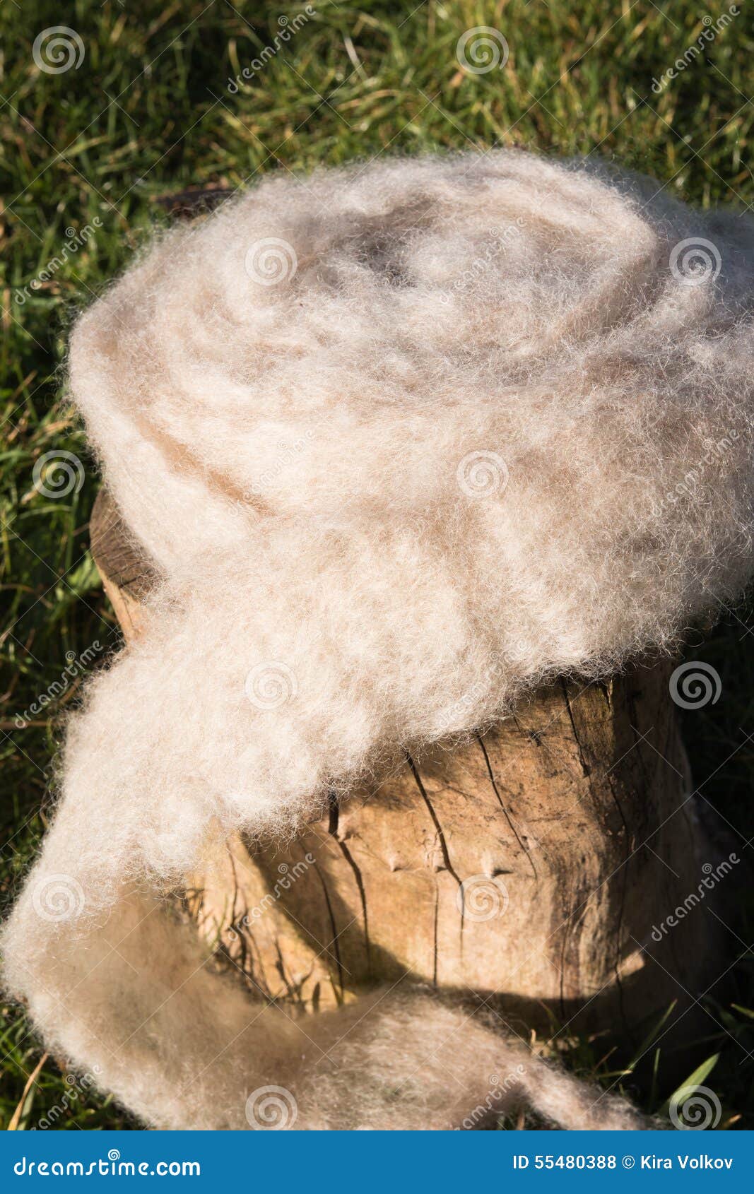 Carded Sheep Wool Batts Royalty-Free Stock Image | CartoonDealer.com ...