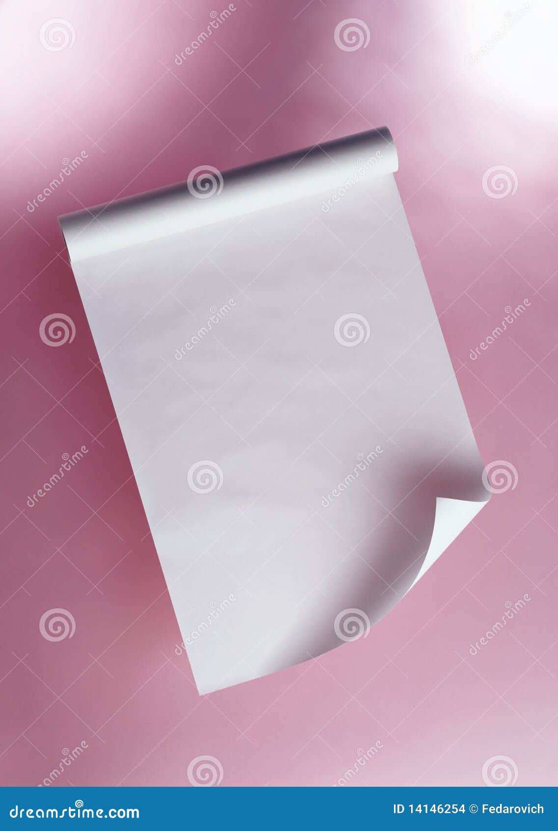 Roll of white paper stock photo. Image of wallpaper, note - 14146254