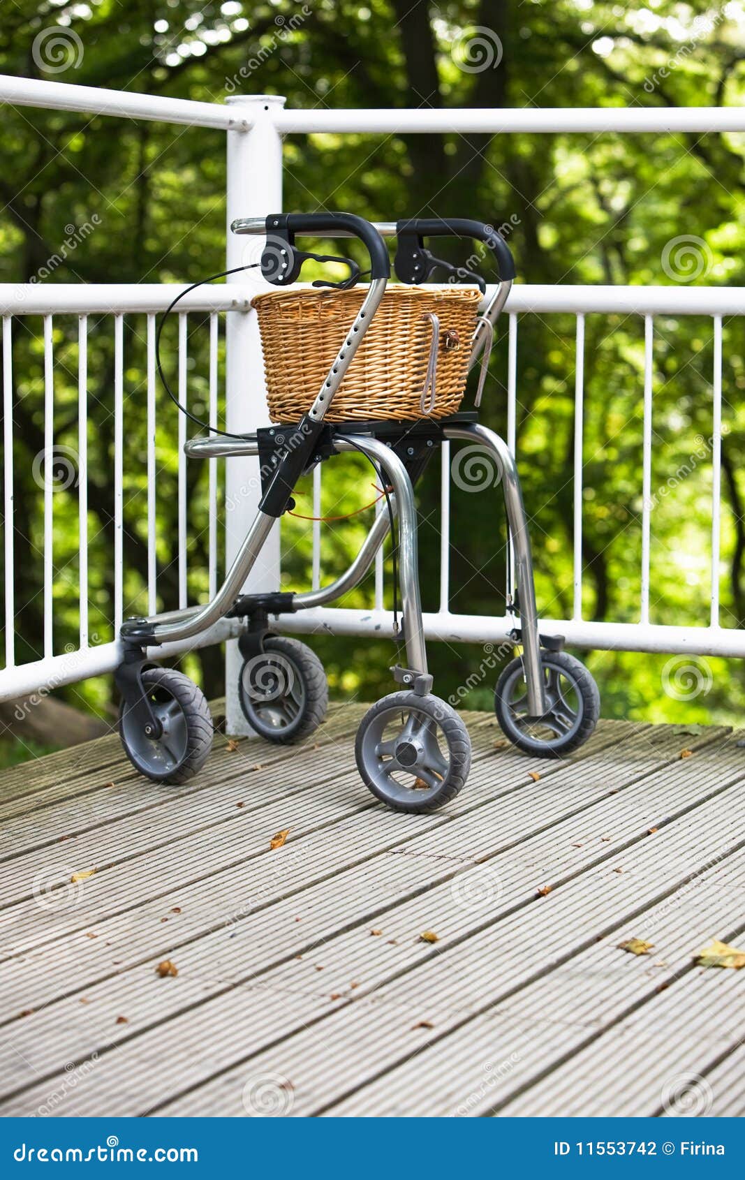 Rollator with basket stock photo. Image of autumn, elderly - 11553742