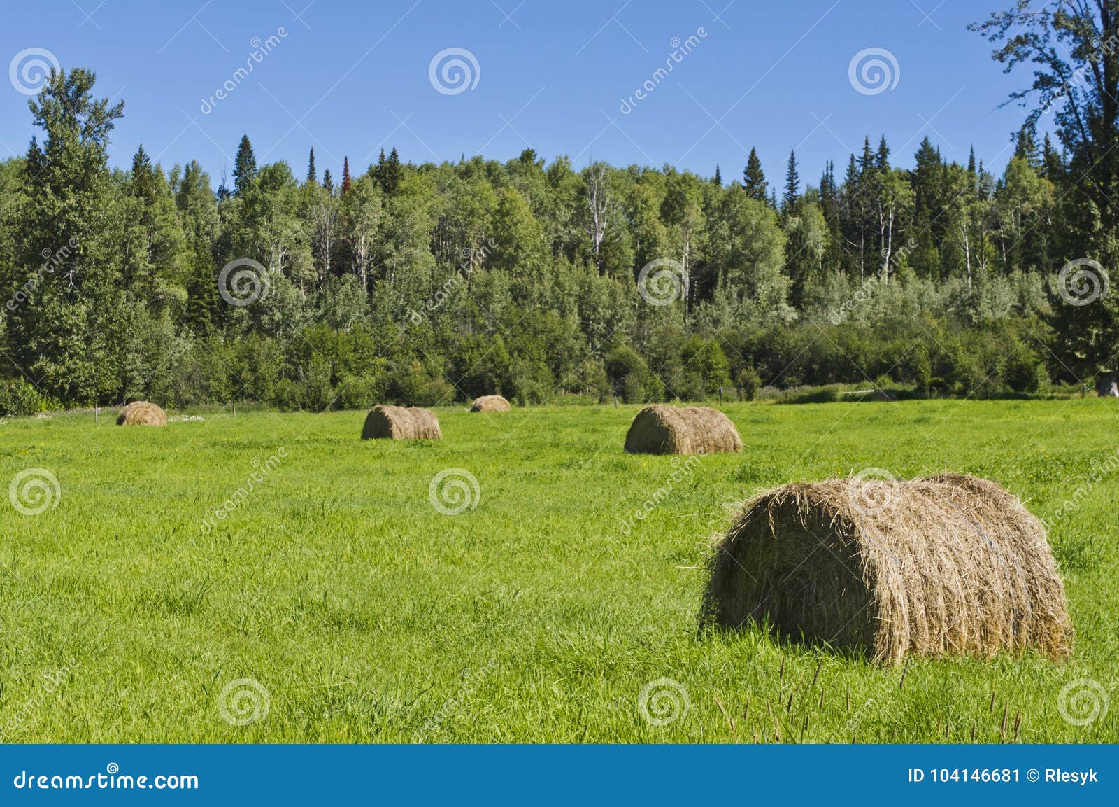 Rolled Bales Of Hay Are Seen On A Rolling Hill During A Magnificent ...