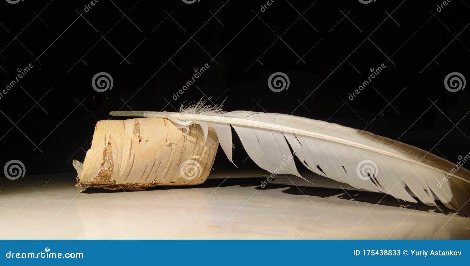 Rolled Birch Bark. on the Scroll is a Goose Feather Stock Image - Image ...
