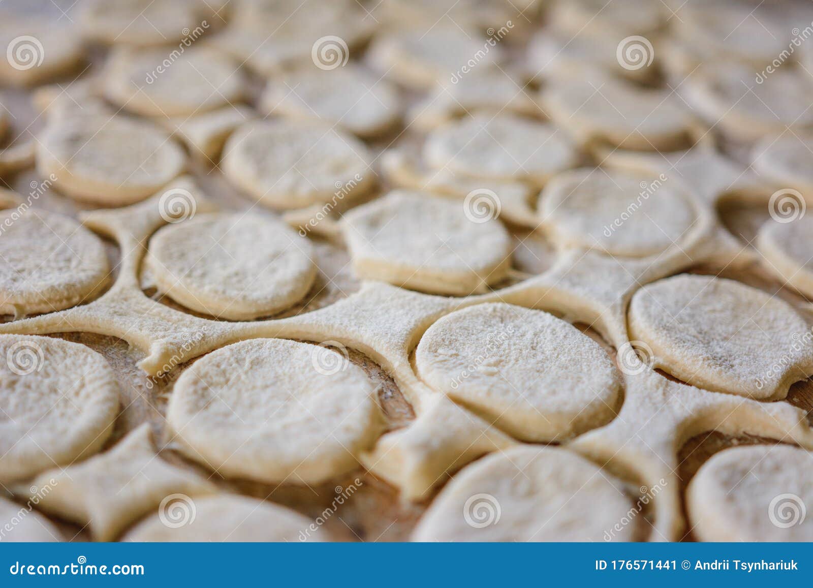 Rolled Dough with Sliced Circles for Dumplings, Texture Stock Image ...