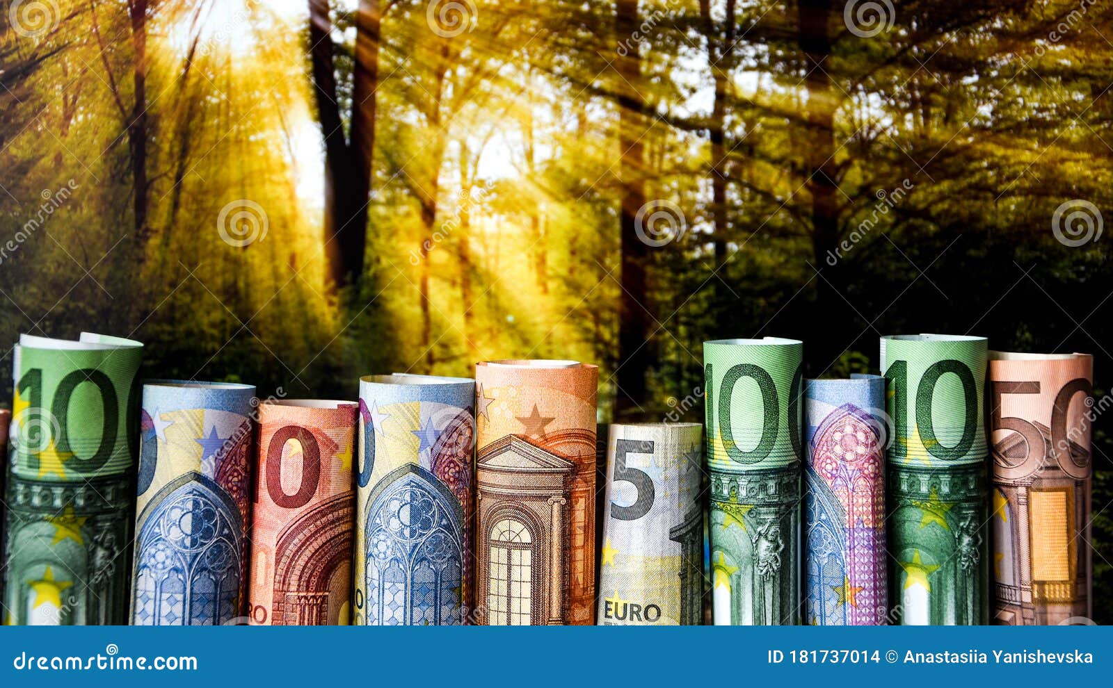 Rolled Euro Banknotes on Nature Background with Sunlight Stock Photo ...