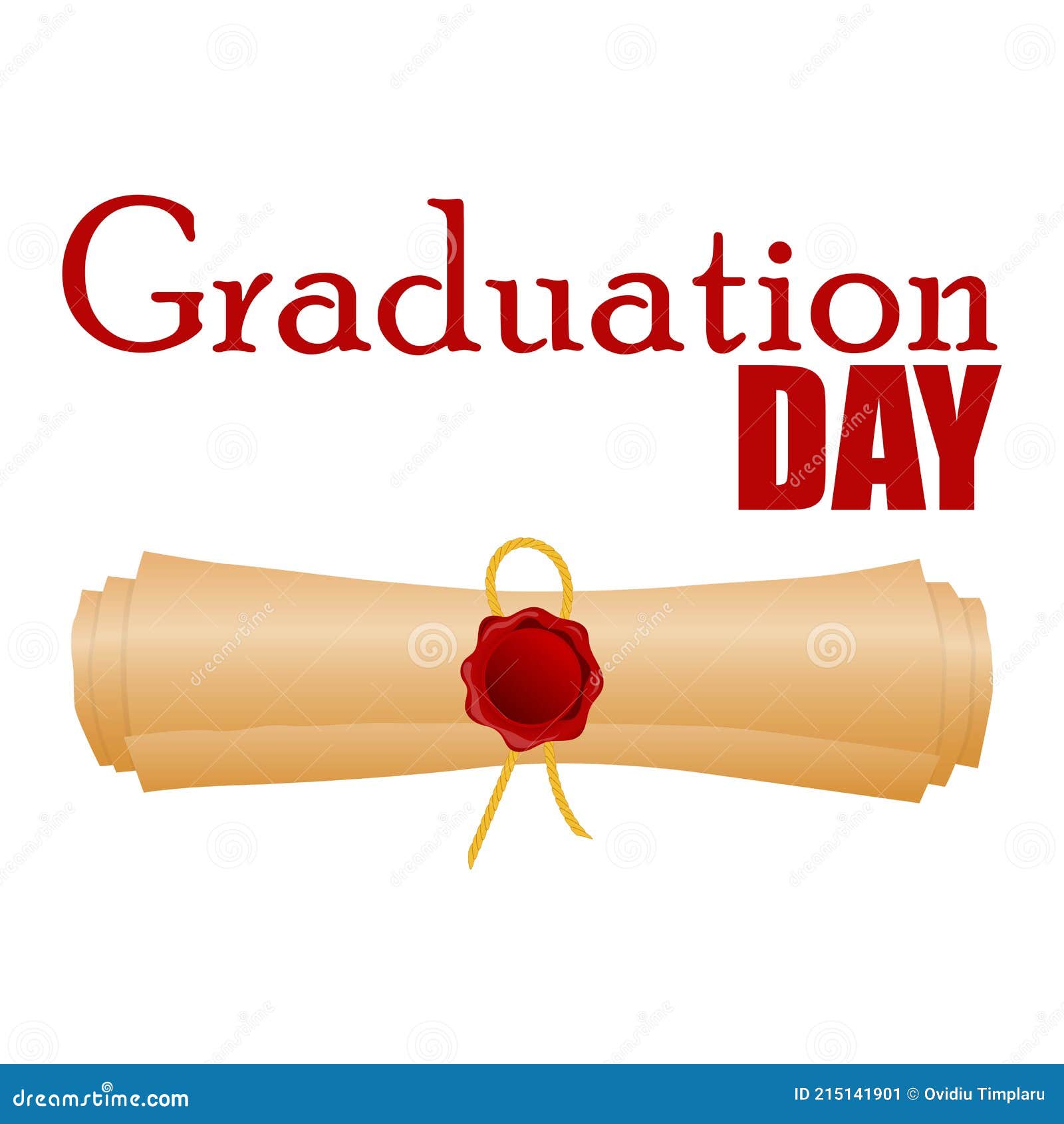 Rolled Graduation Diploma Vector Illustration Isolated on White ...