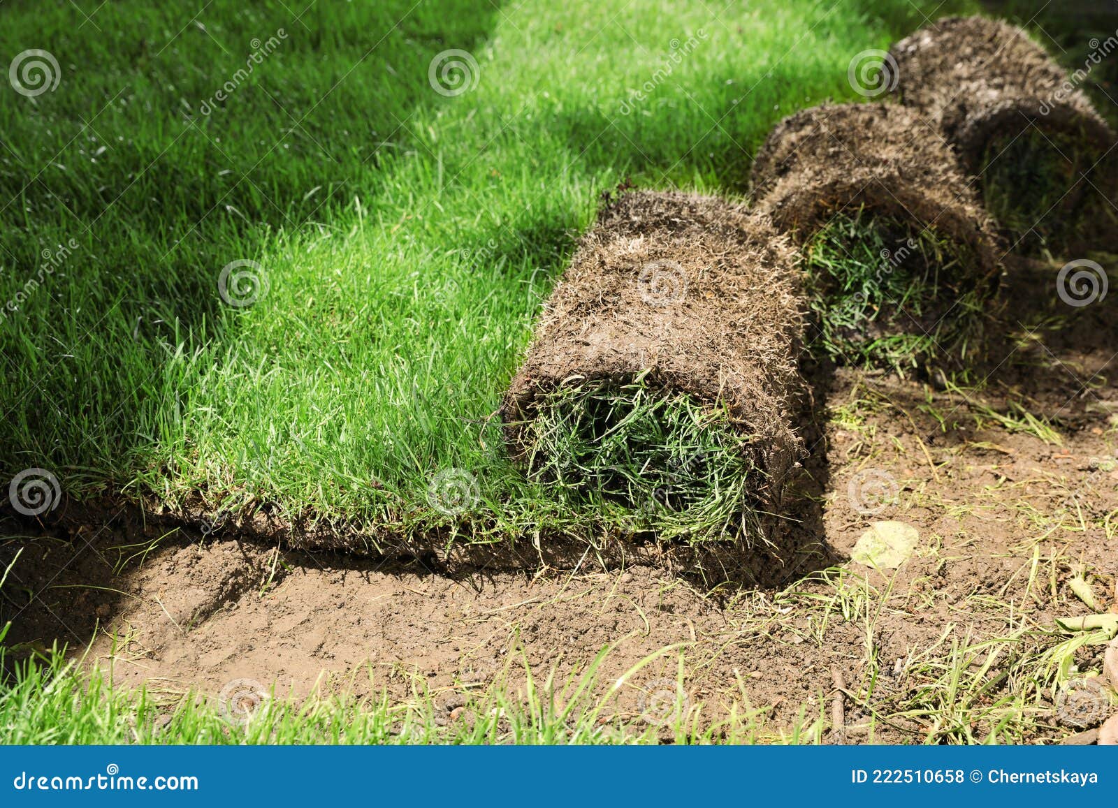 Rolled Grass Sod on Ground in Garden Stock Photo - Image of decor ...