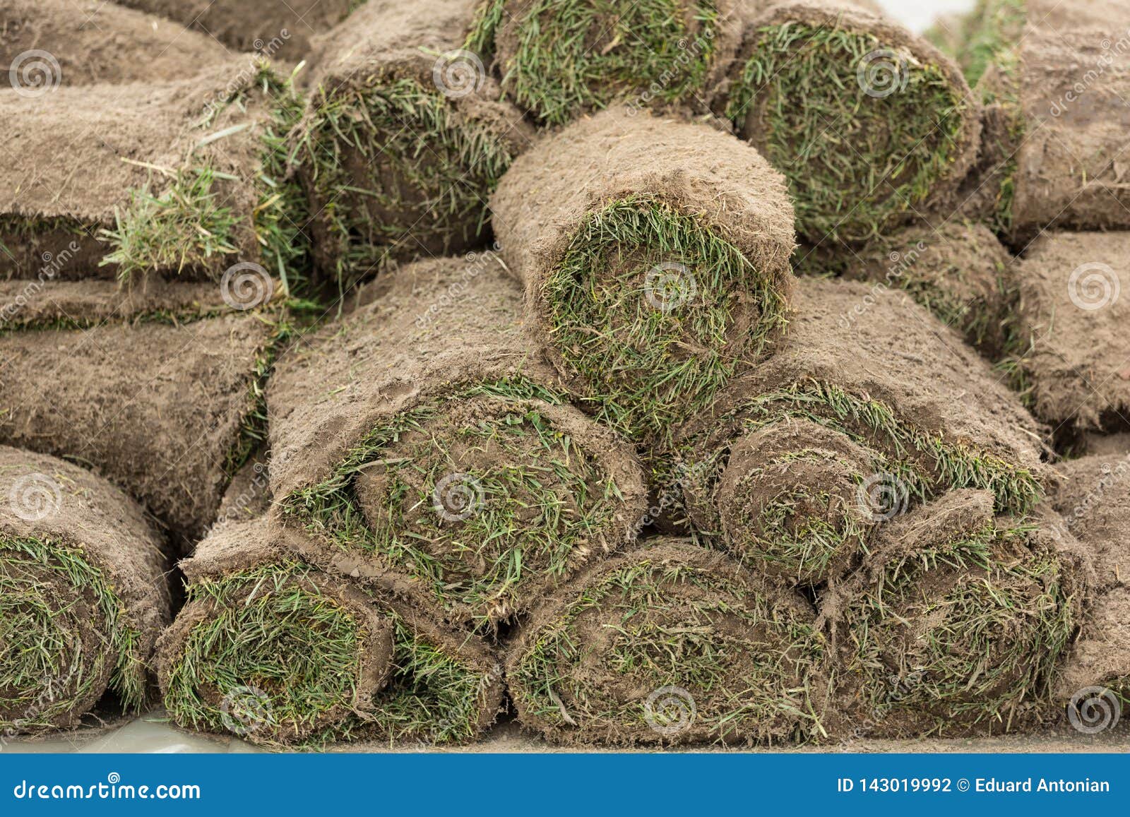 The Rolled Grass is Stacked, Ready for Gardening, Concept Stock Photo ...