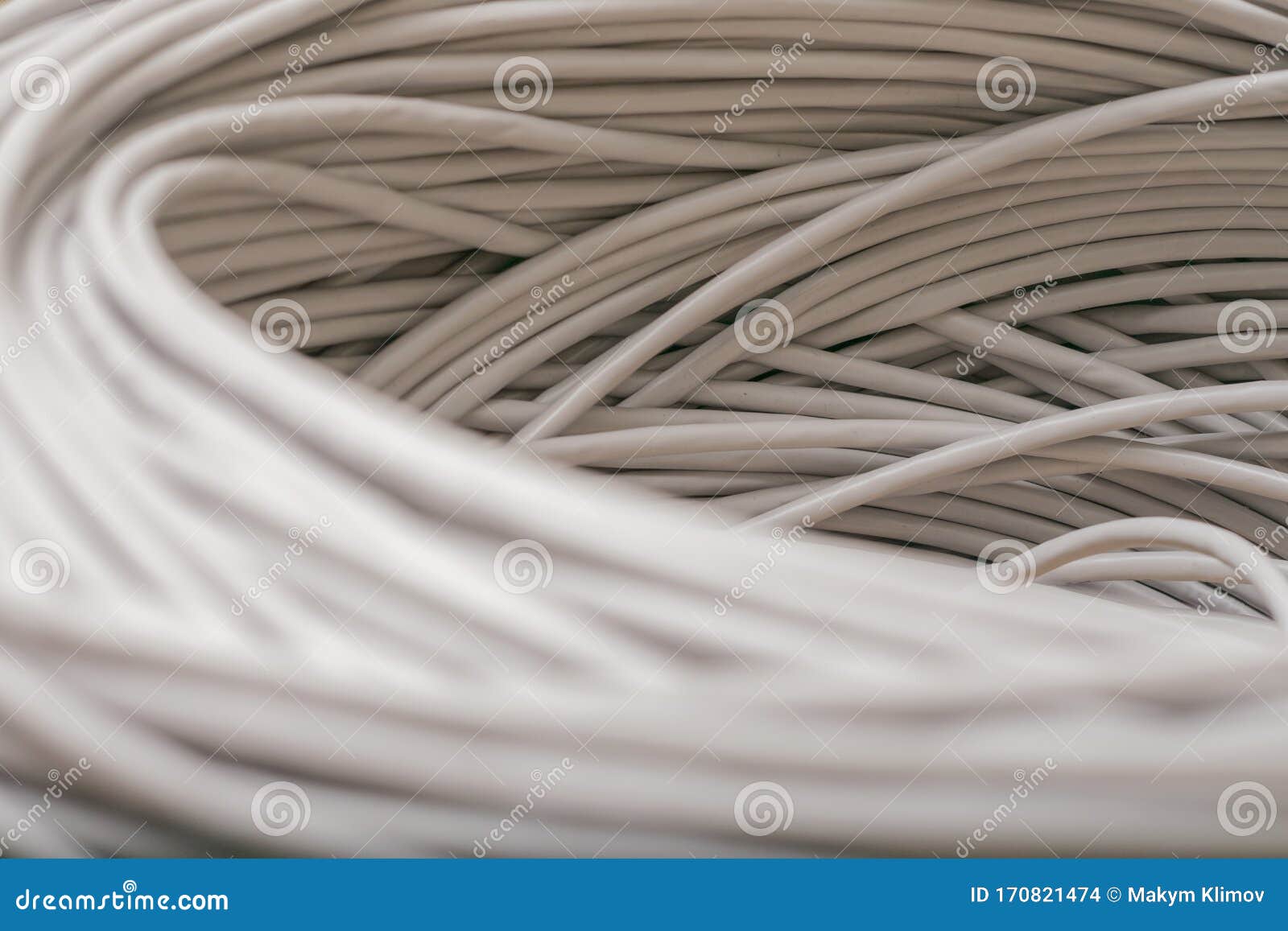 A Rolled Gray Cable Is A Close Up. A Bunch Of Utp Wires Intertwined ...