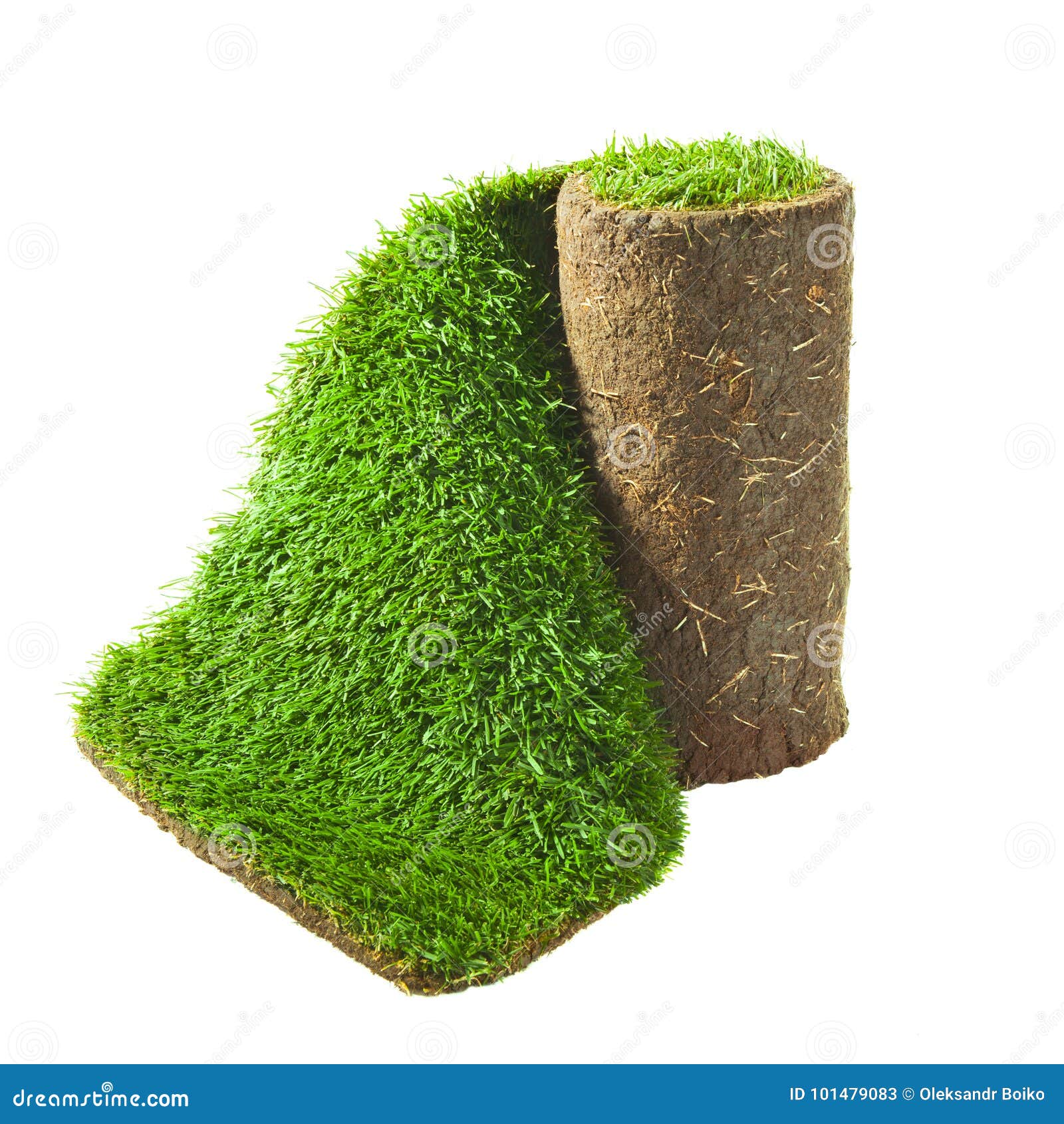 Rolled green grass stock image. Image of rolled, roll - 101479083