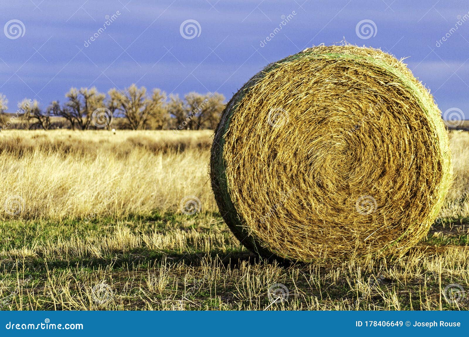 Rolled Hay in the Colorado Plains Stock Image - Image of landscape ...