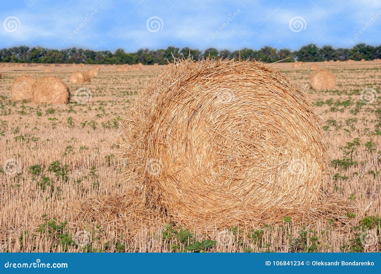 Rolled hay pack stock photo. Image of countryside, plant - 106841234