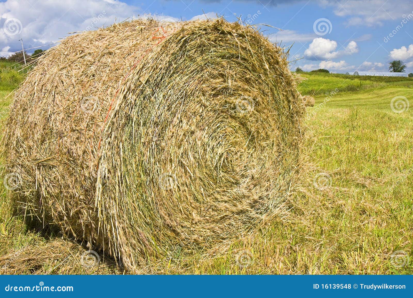 Rolled Haystack stock photo. Image of crops, clouds, farm - 16139548