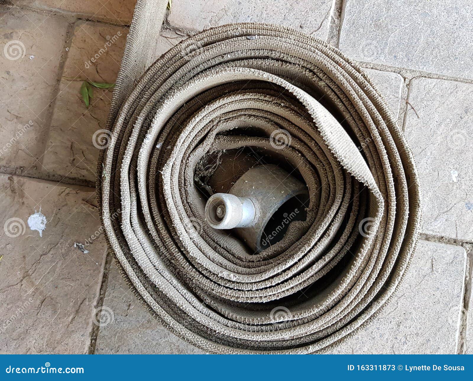 Rolled hose pipe stock image. Image of water, pipe, rolled - 163311873