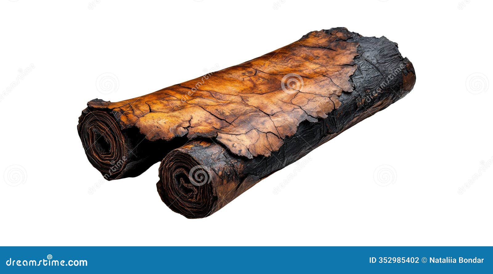 Rolled Leather Isolated on Transparent Background Stock Photo - Image ...