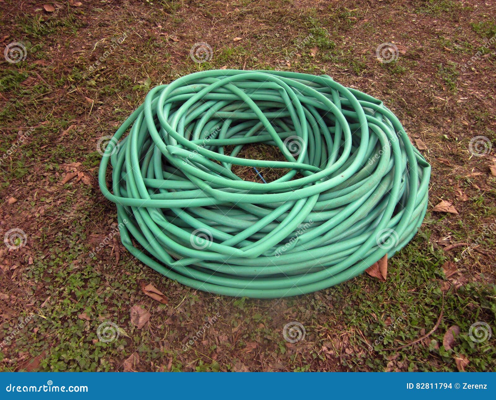 Rolled long garden hose. stock photo. Image of view, pipe - 82811794