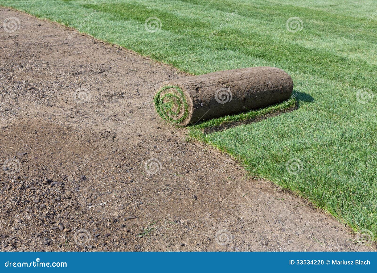 Rolled sod stock photo. Image of space, peeled, soil - 33534220
