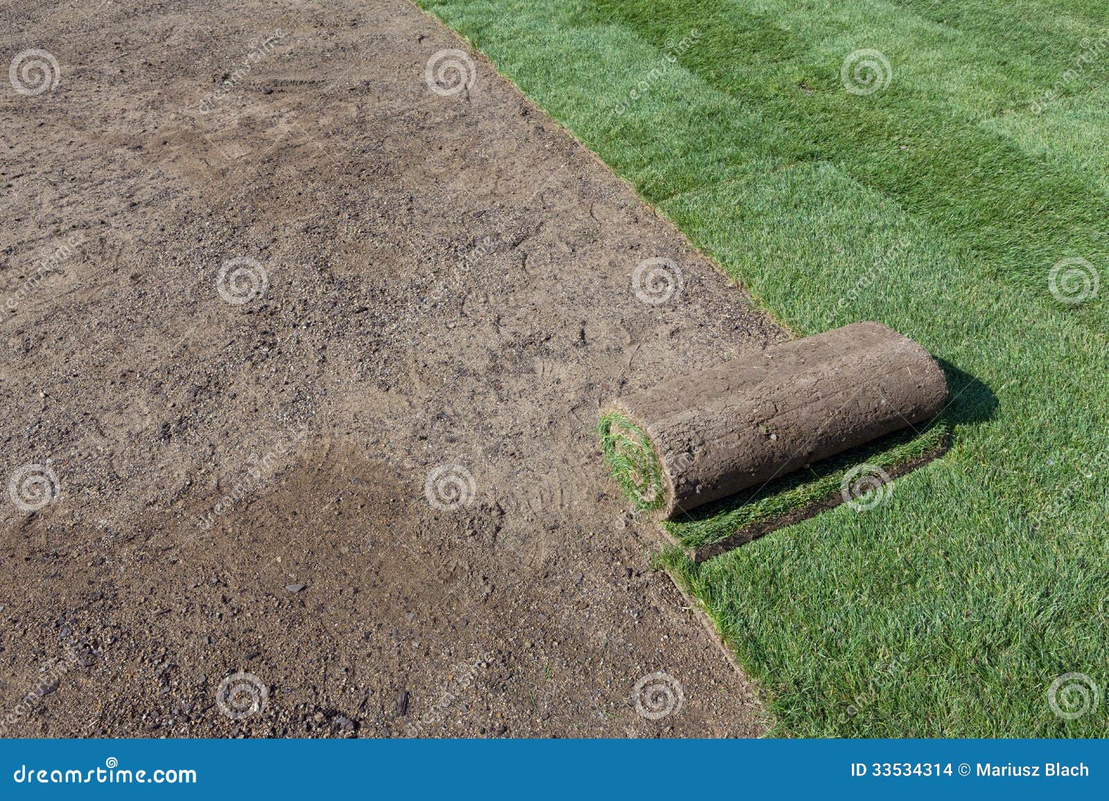 Rolled sod stock photo. Image of stripes, green, copy - 33534314