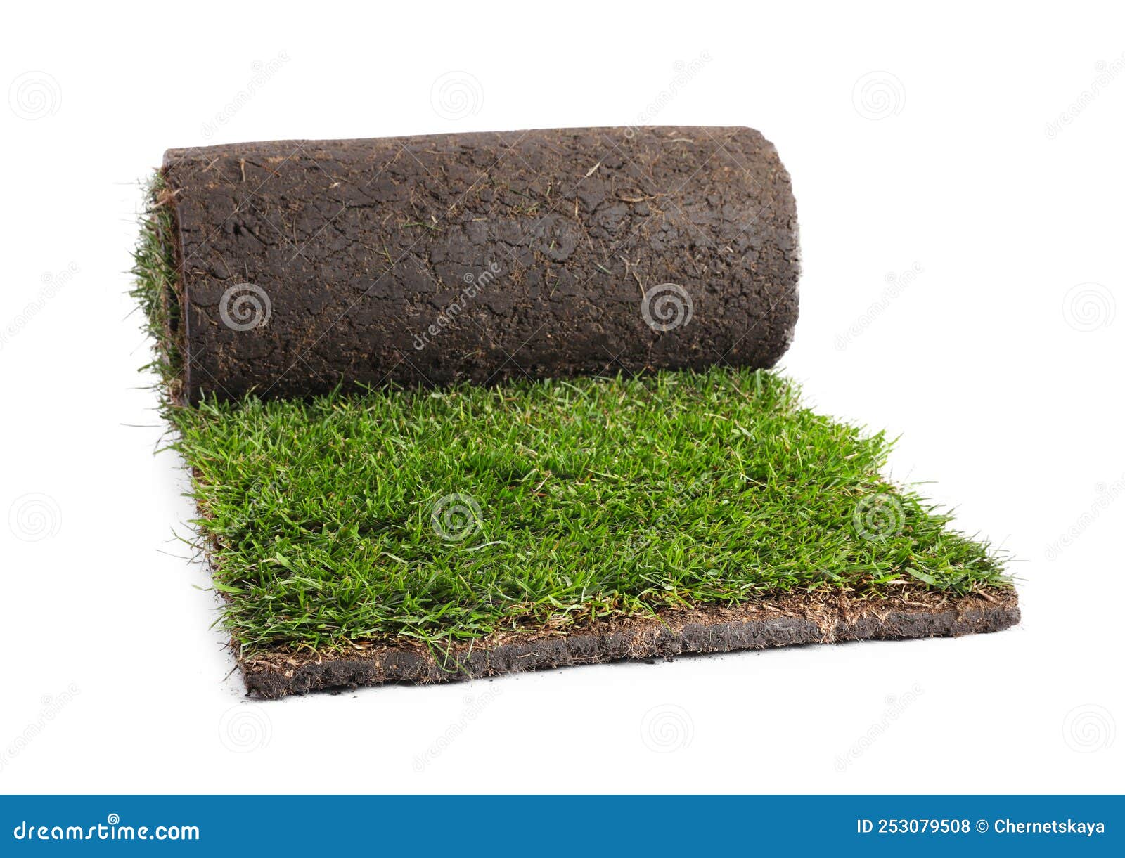 Rolled Sod with Grass on White Background Stock Photo - Image of lawn ...