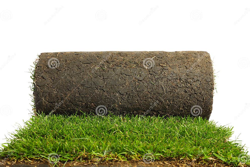 Rolled Sod with Grass on White Background Stock Photo - Image of fresh ...