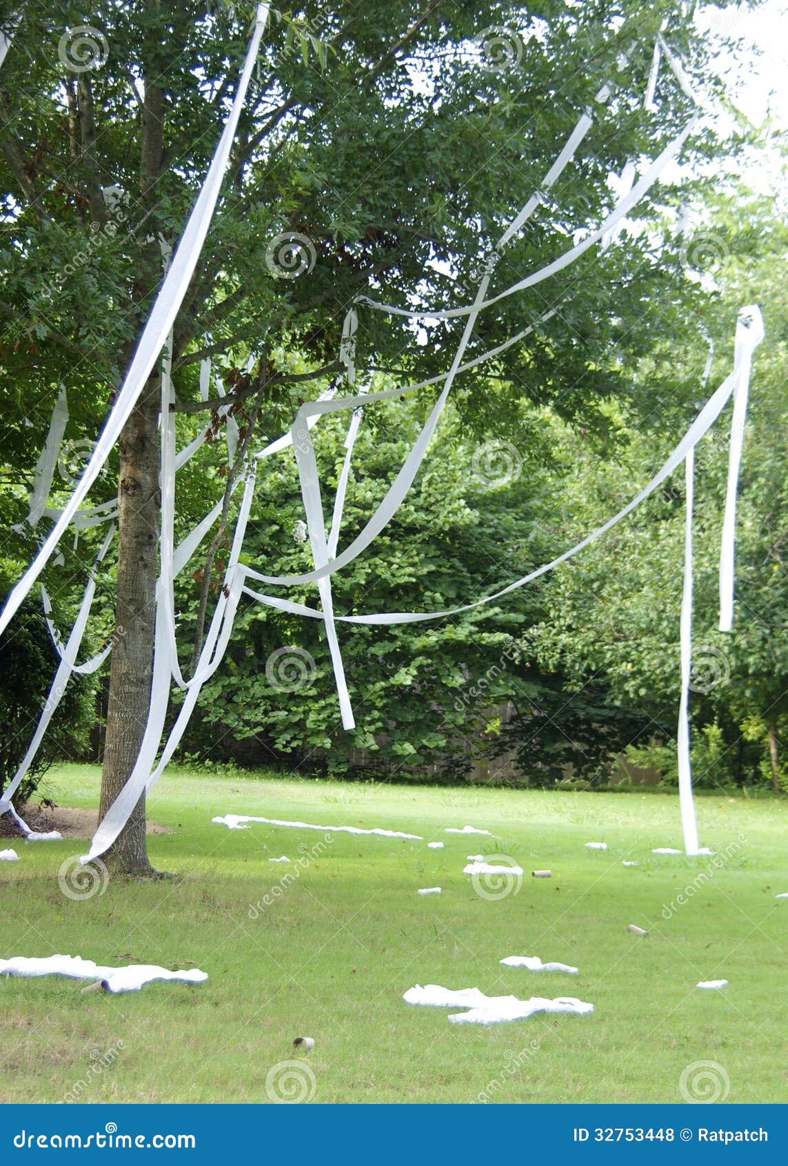 Rolled tree stock photo. Image of mischief, joke, house - 32753448