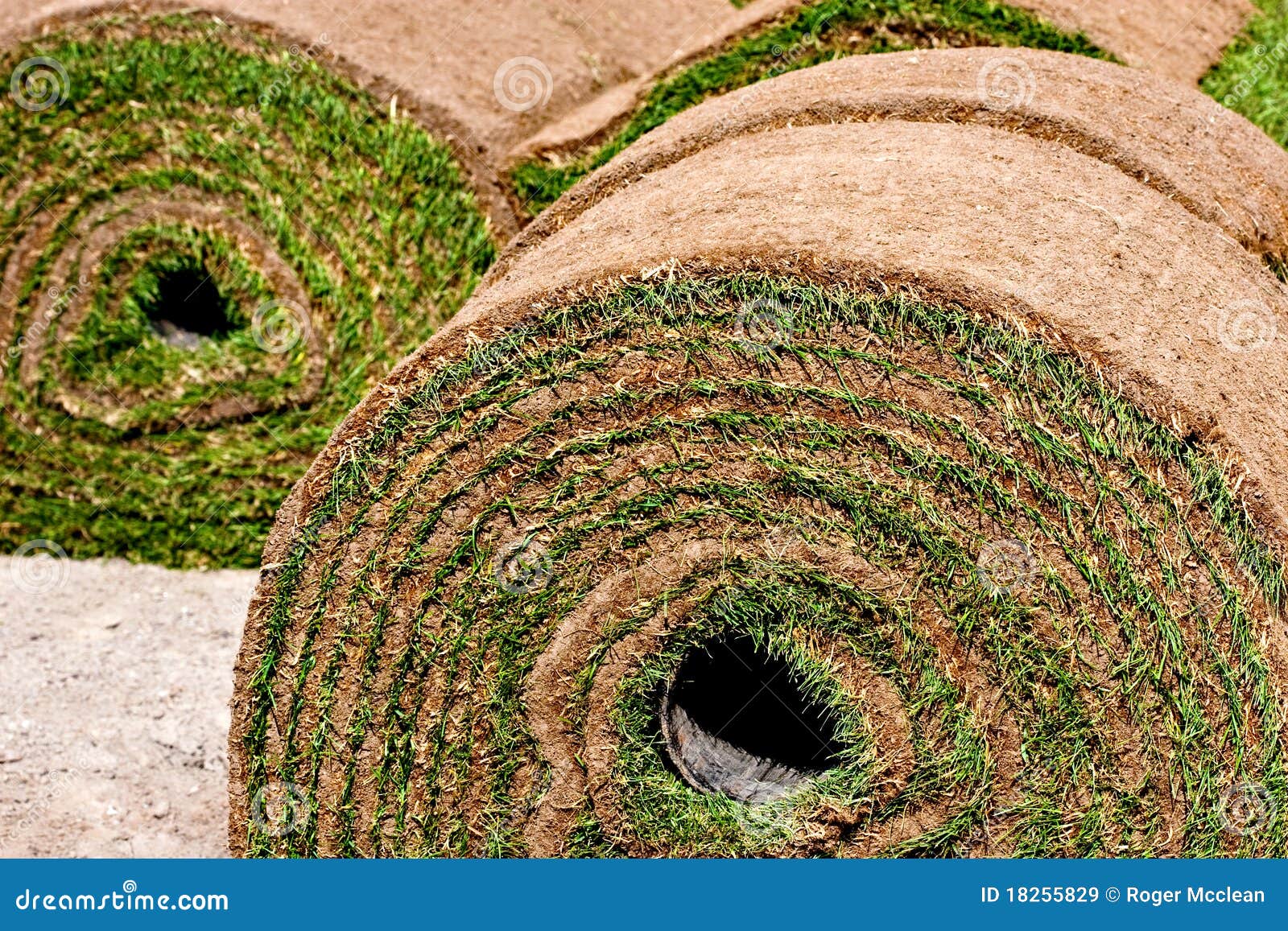 Rolled up grass stock image. Image of rolls, turf, pattern - 18255829