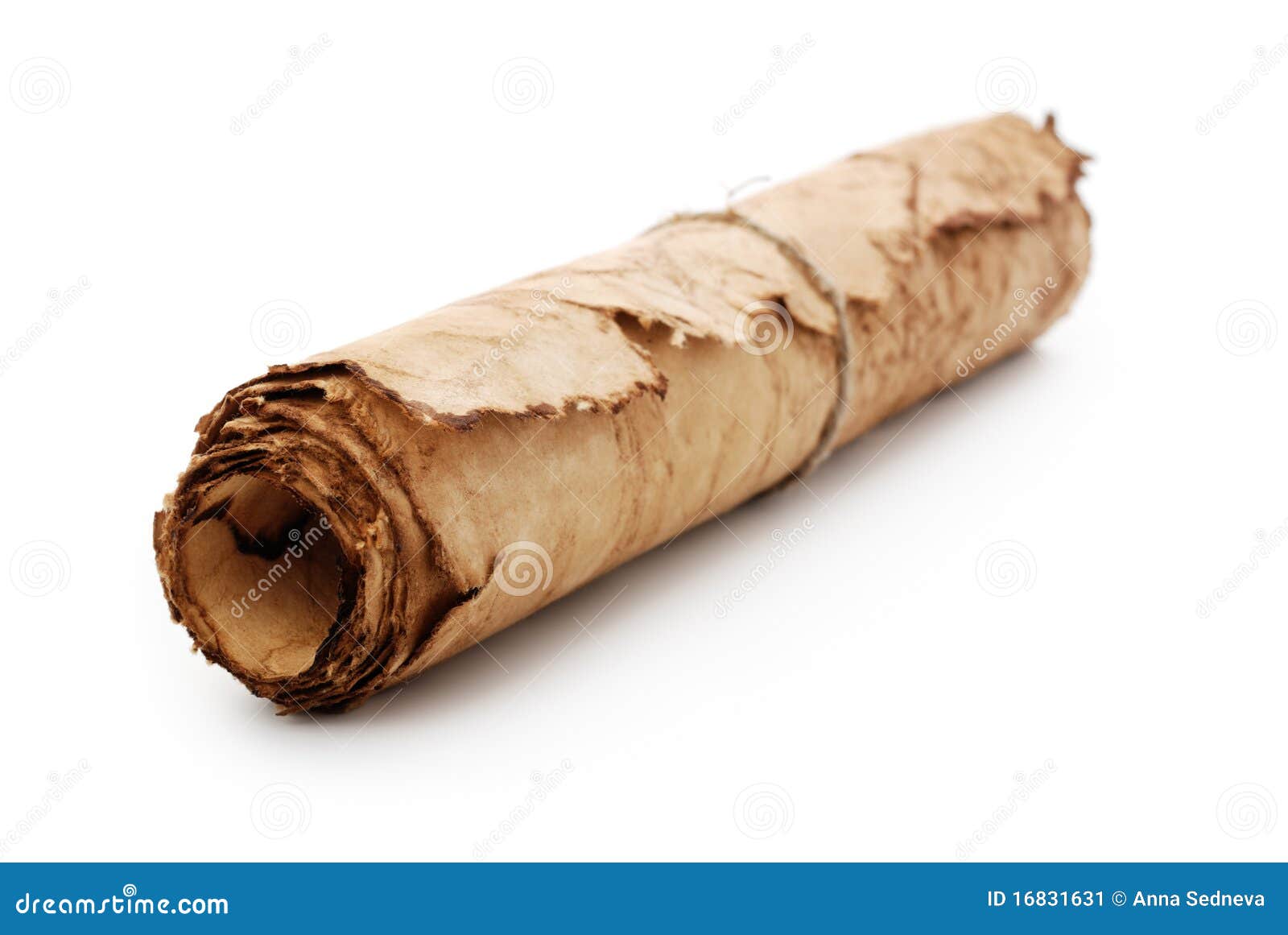 Rolled Up Old Paper stock image. Image of isolated, cellulose - 16831631