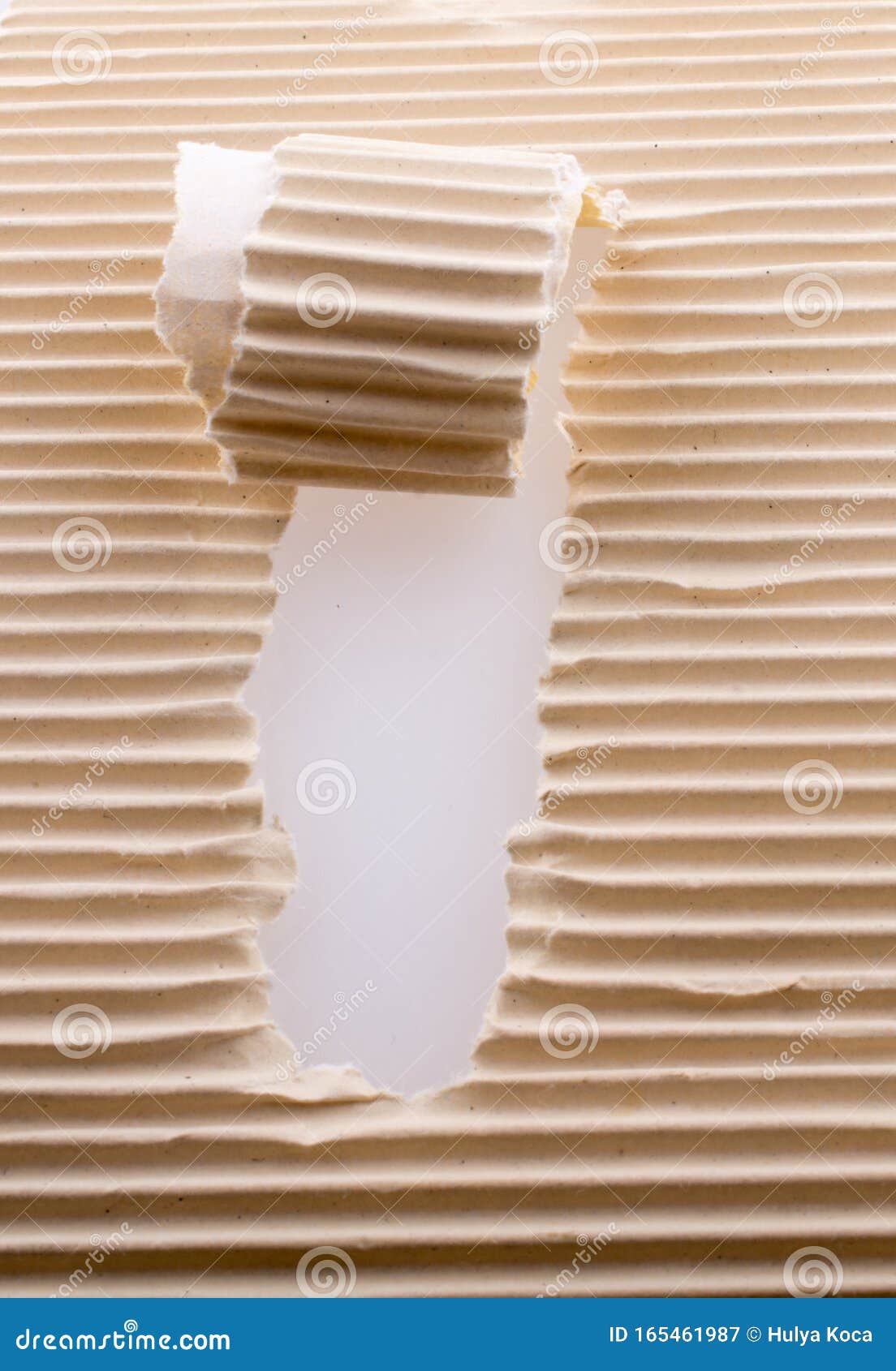Rolled up torn paper stock image. Image of wrinkled - 165461987