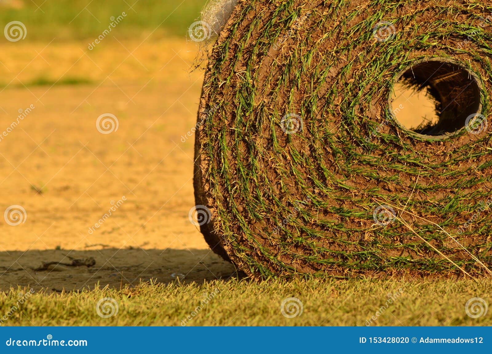 Rolled up turf grass stock photo. Image of organic, fescue - 153428020