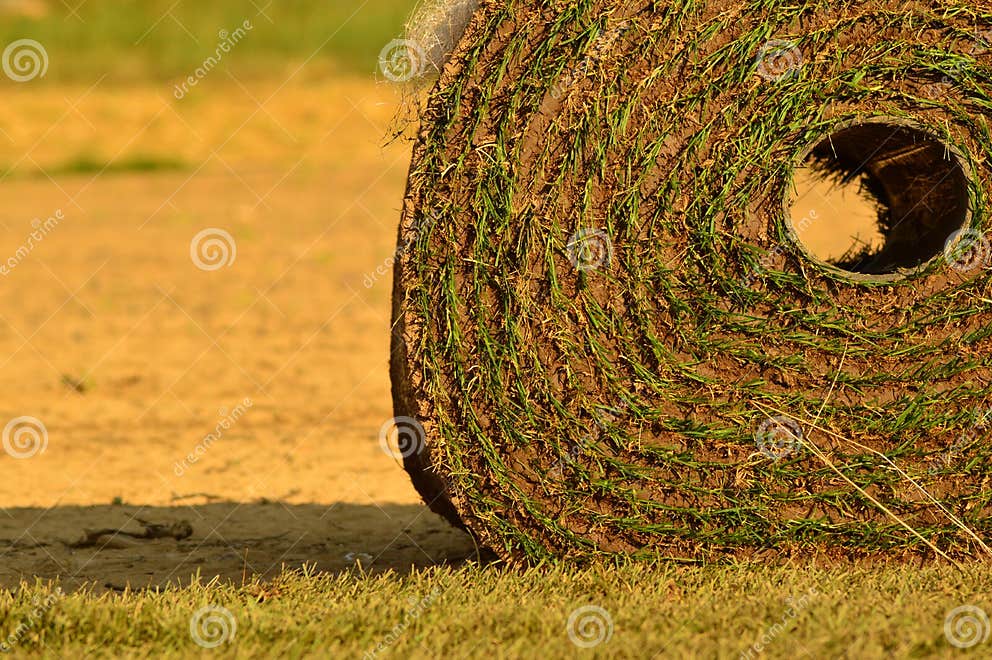 Rolled up turf grass stock photo. Image of organic, fescue - 153428020