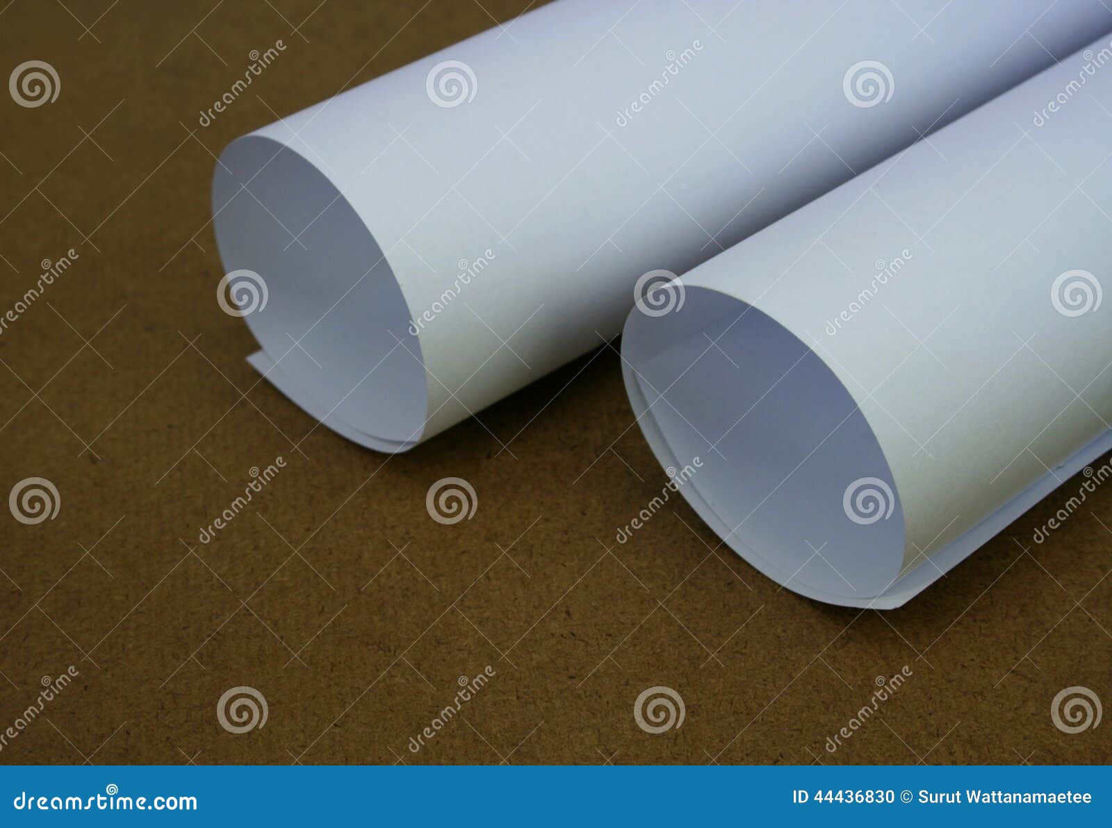Rolled White Paper Sheet stock photo. Image of light - 44436830