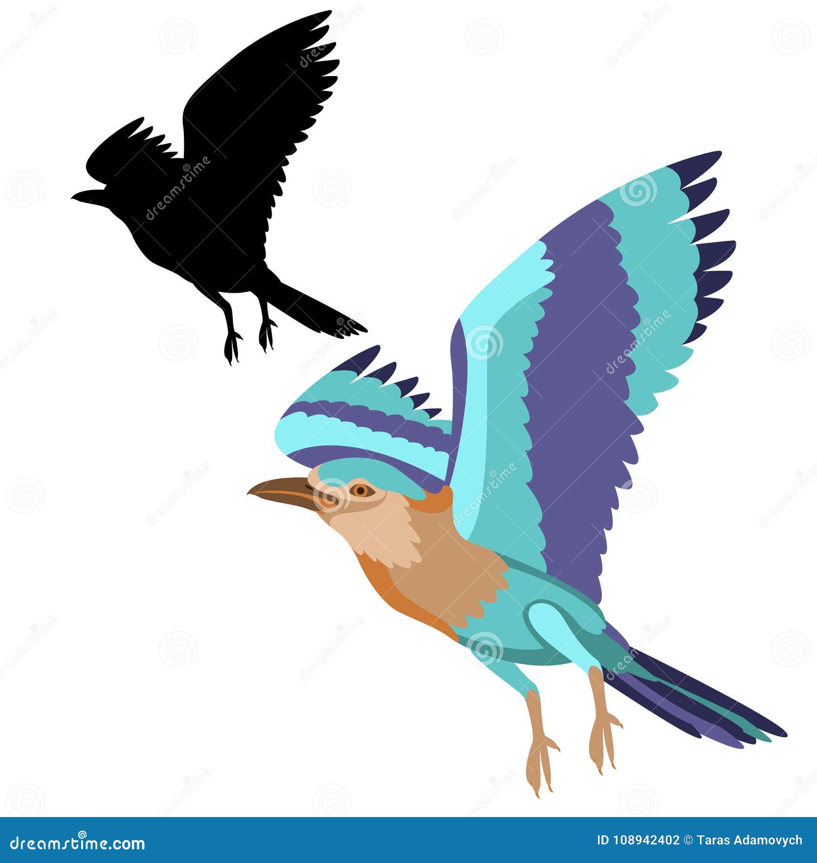 Roller Bird Vector Illustration Flat Style Black Silhouette ...