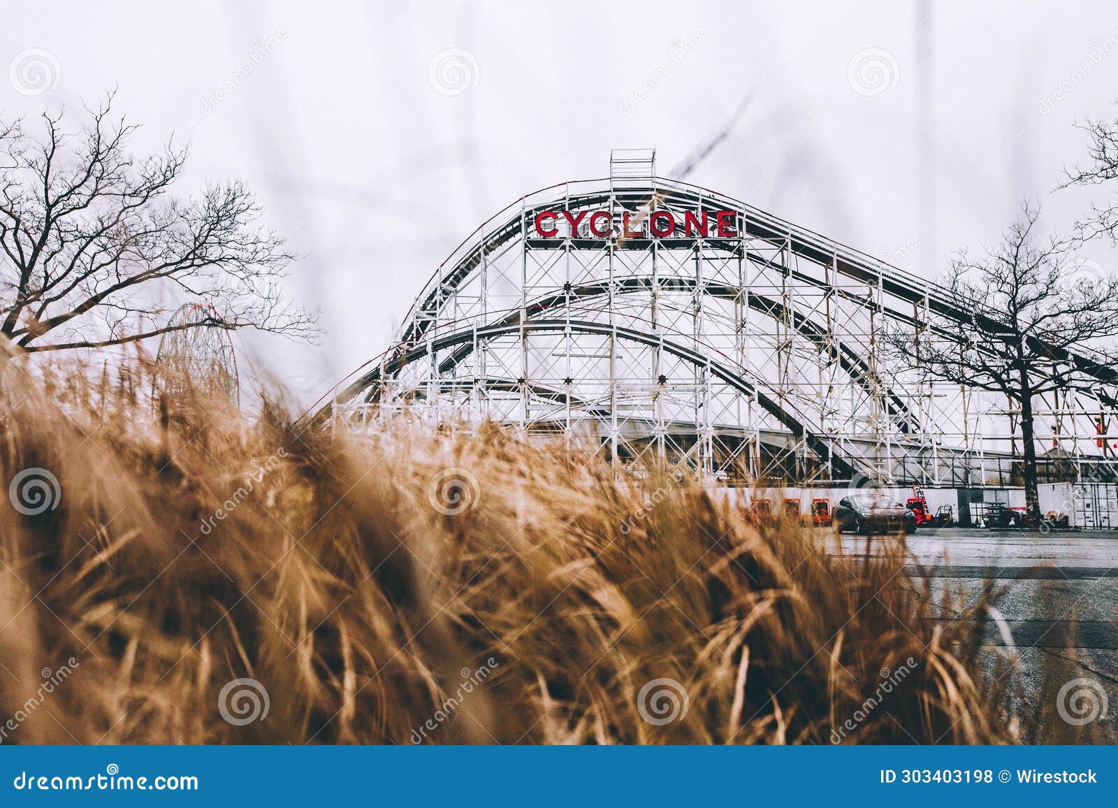 Roller Coaster in an Amusement Park Seen Against a Backdrop of Tall ...