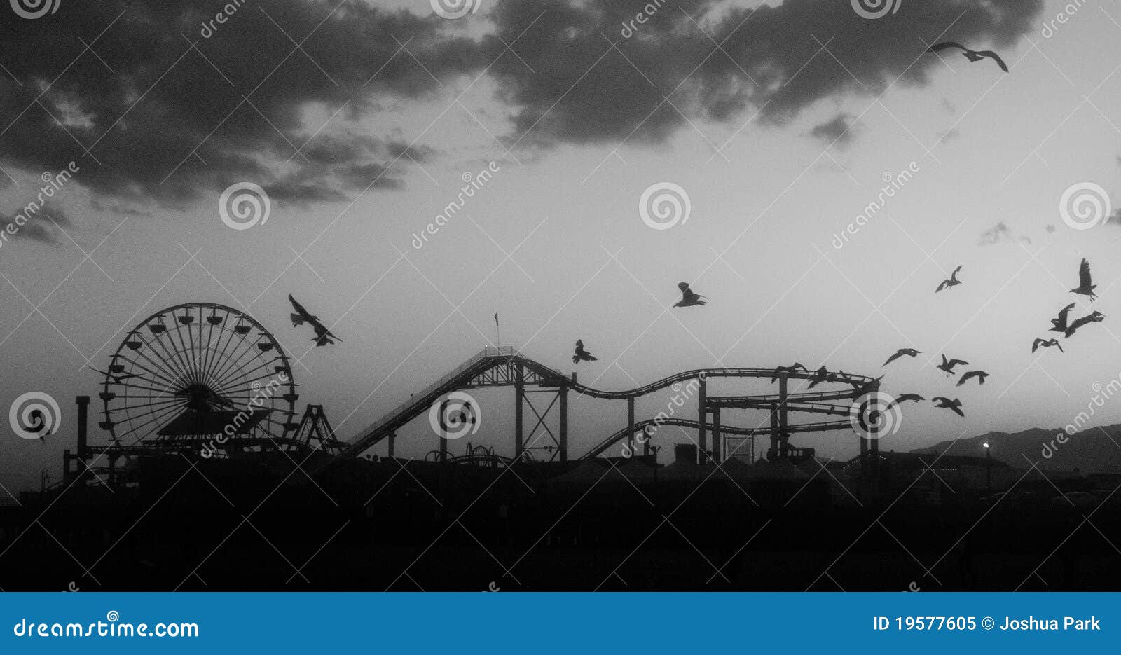 Roller Coaster with Birds editorial image. Image of monica - 19577605