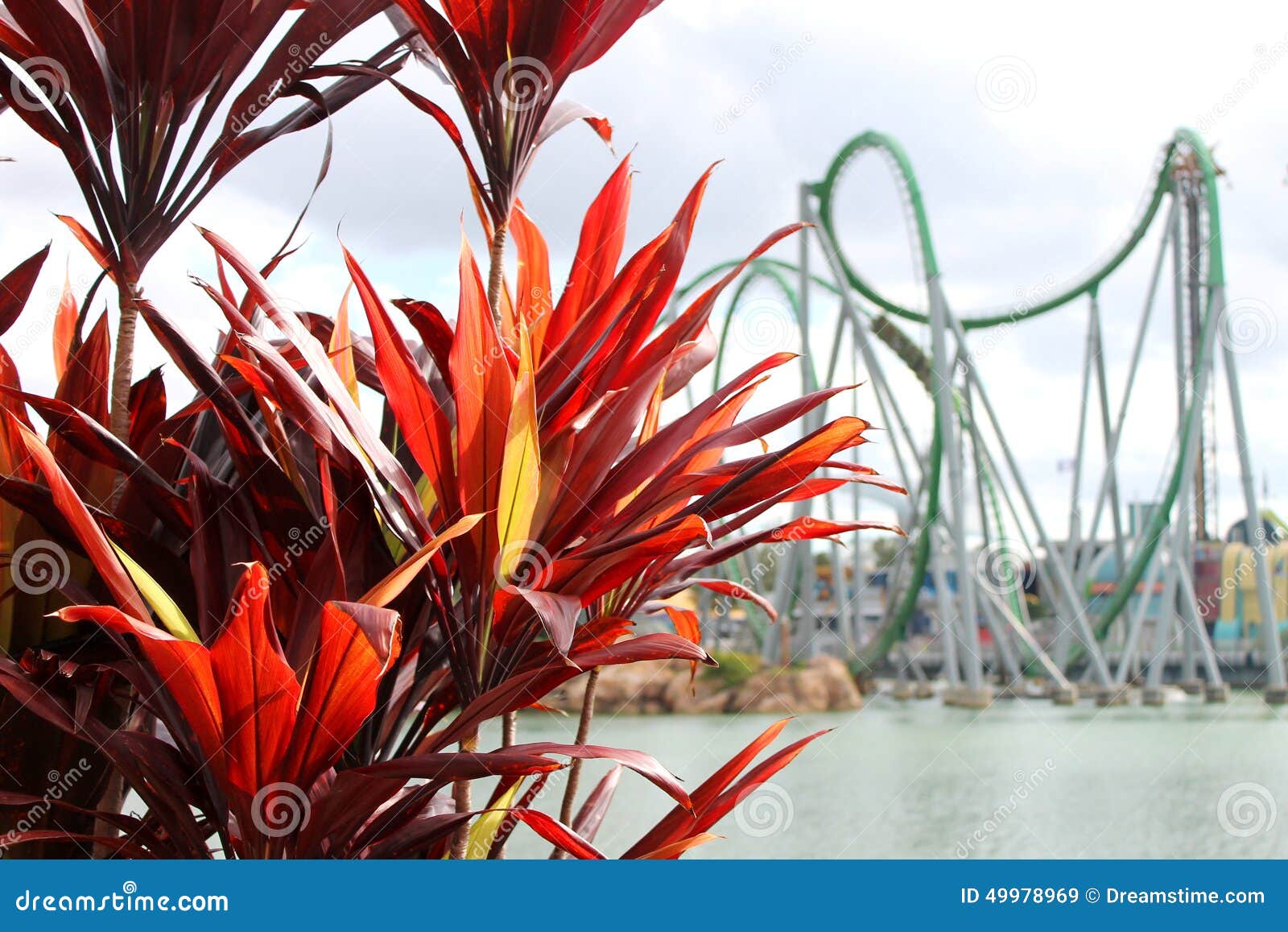 Roller Coaster with Flowers in Foreground Stock Image - Image of ...