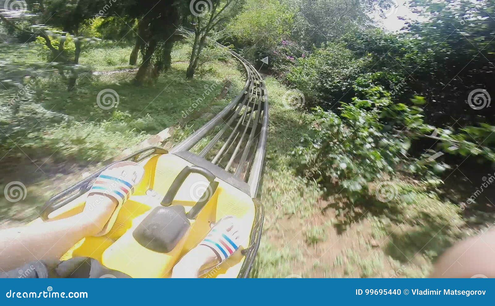 Roller Coaster in the Jungle Stock Footage - Video of roller, male ...