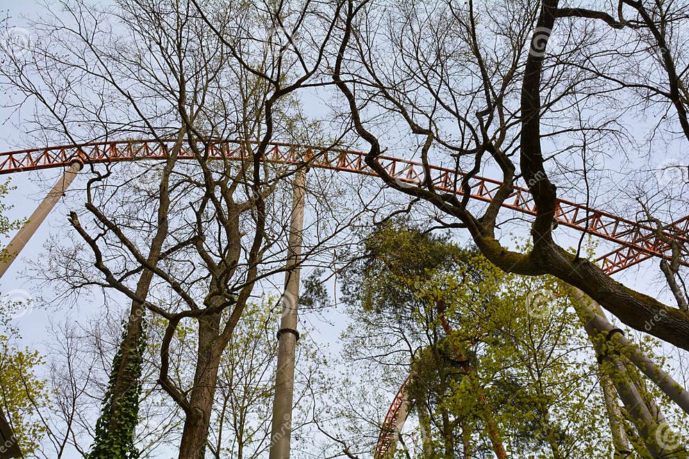 Roller Coaster Rails between Trees Stock Photo - Image of scaffolding ...