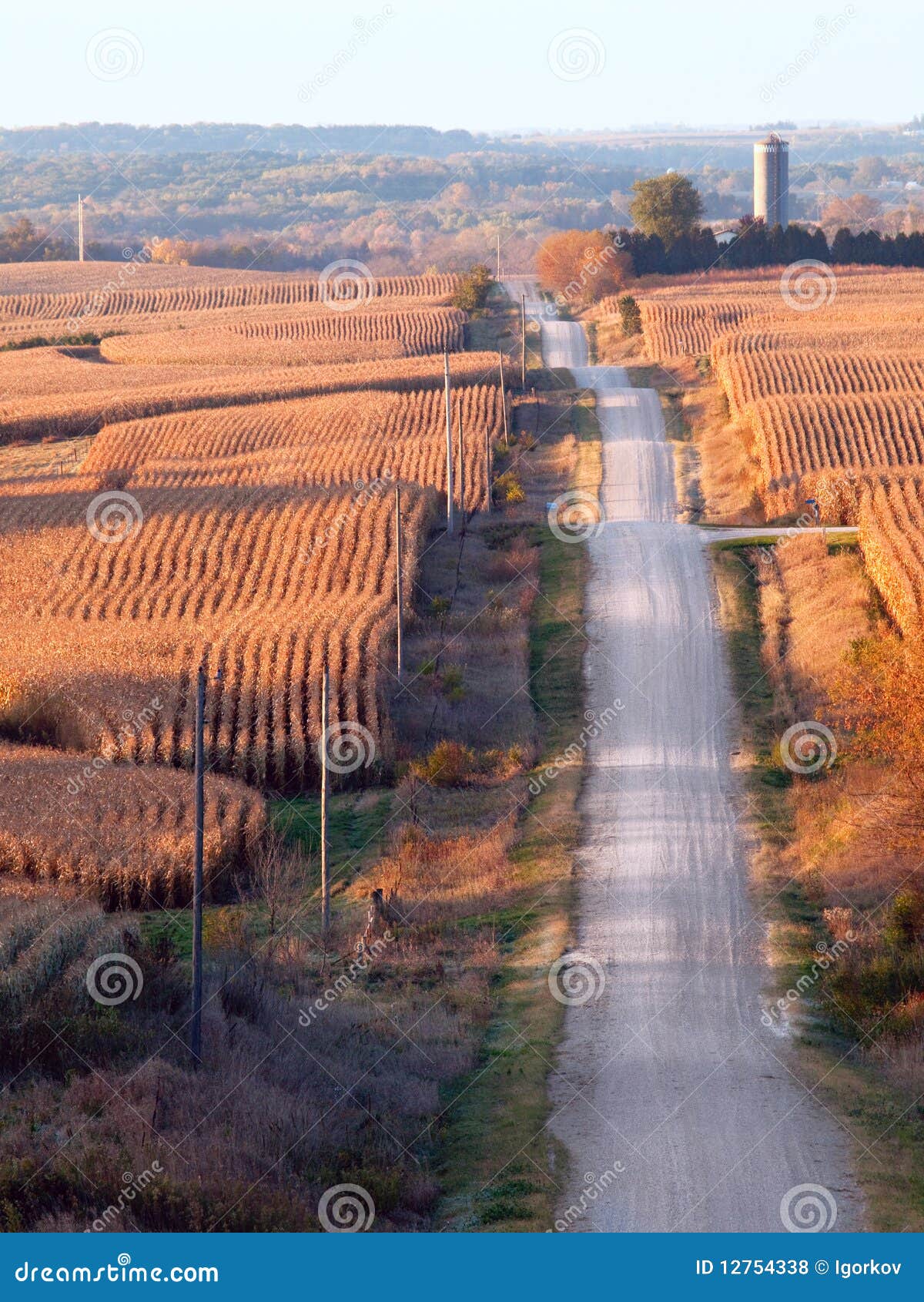 Roller Coaster Road stock photo. Image of morning, midwest - 12754338