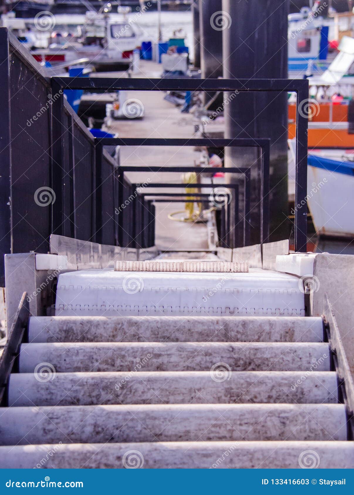 Roller Conveyor for Unloading Fish Catch in the Seaport Stock Image ...
