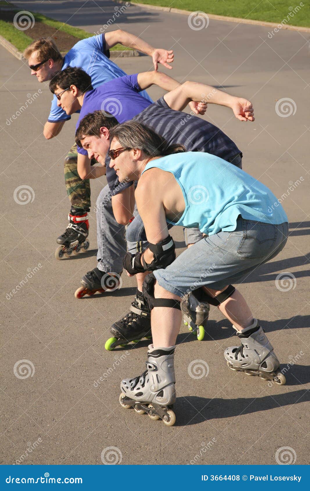 Rollers group stock photo. Image of recreational, nature - 3664408