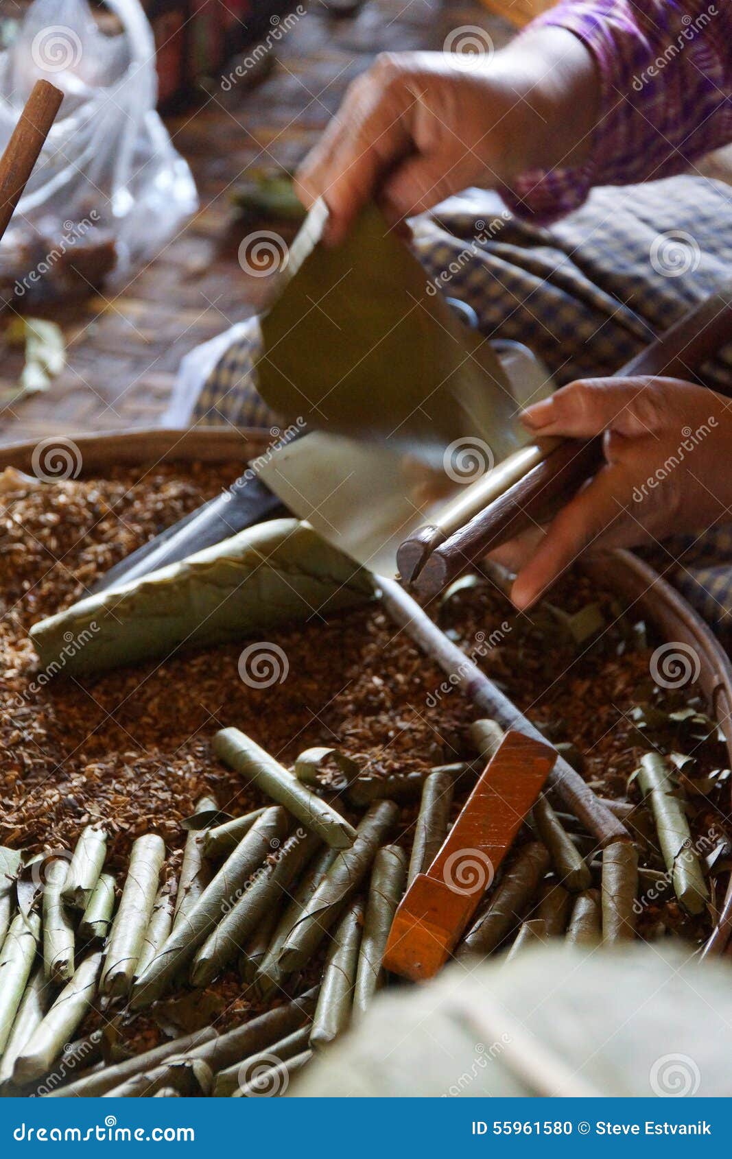 Rolling cheroot cigars stock photo. Image of inle, smoke - 55961580