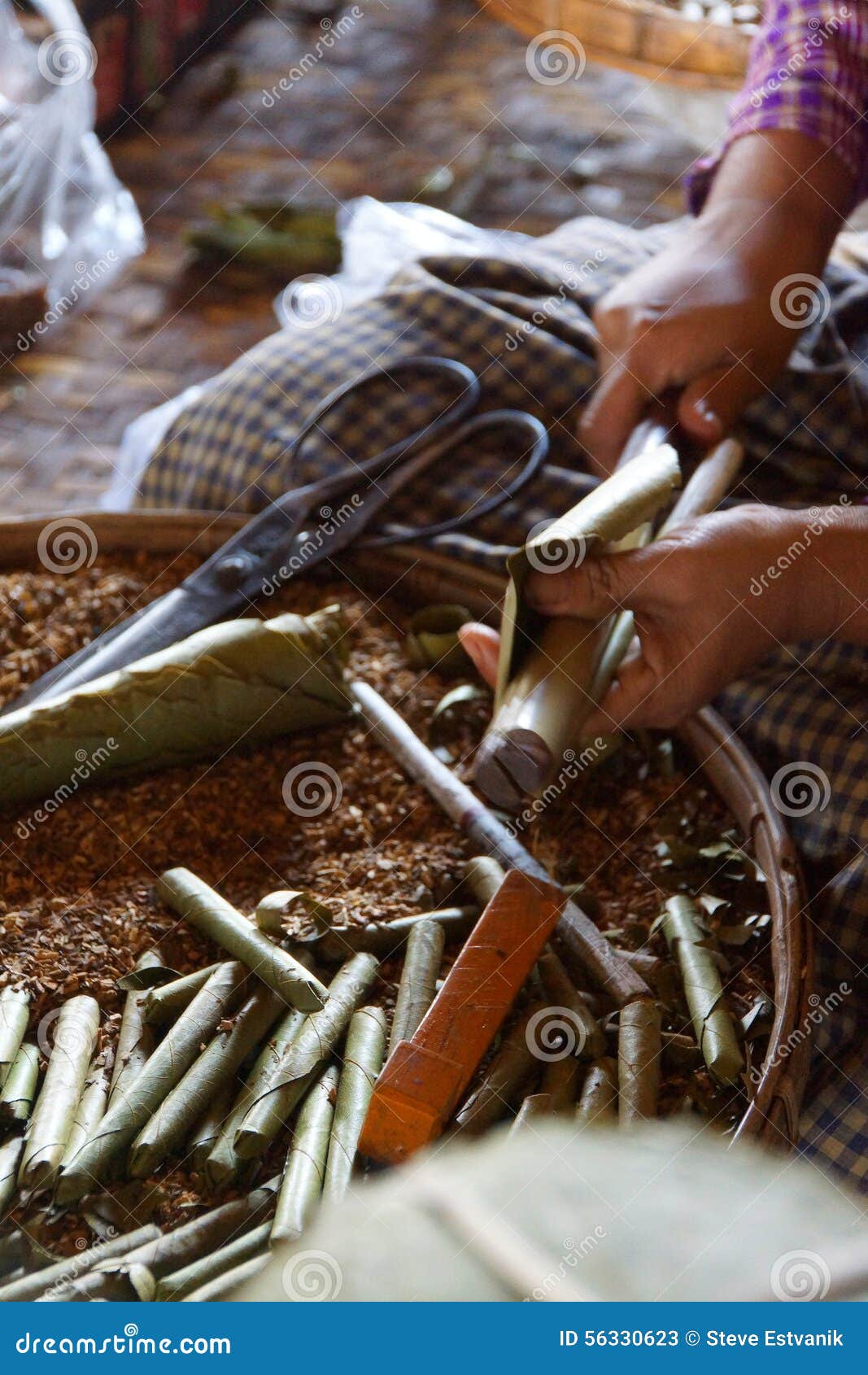Rolling cheroot cigars stock image. Image of craft, smoke - 56330623