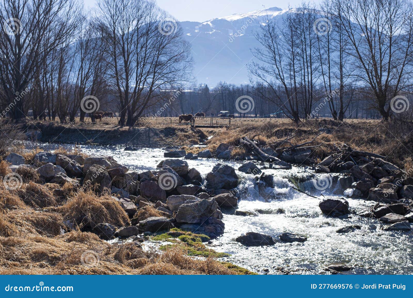 Rolling Cobble Stones on a Blue Flowing River Landscape Stock Photo ...