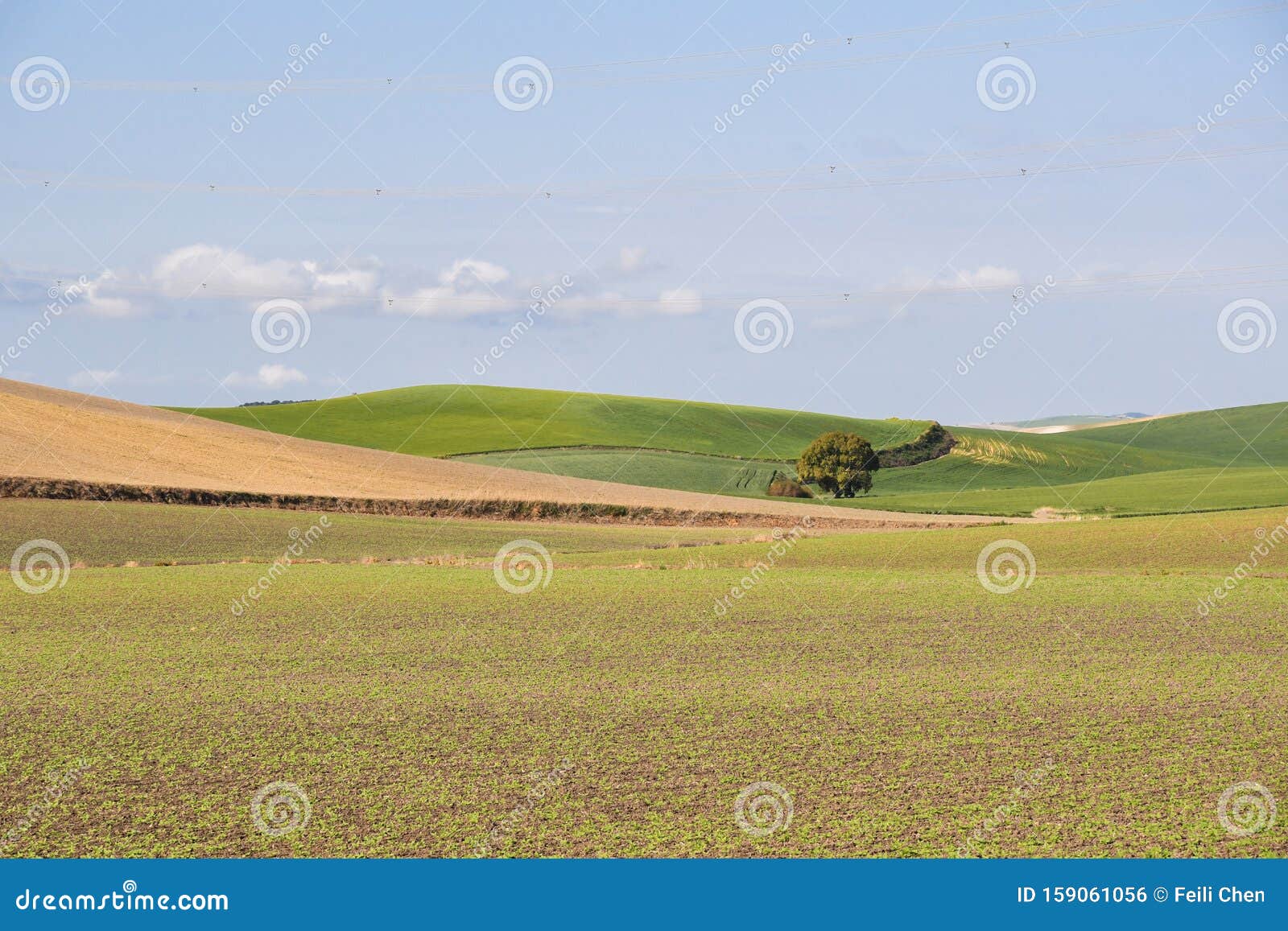 Rolling Country Hills in Spring, Spain Stock Photo - Image of grove ...