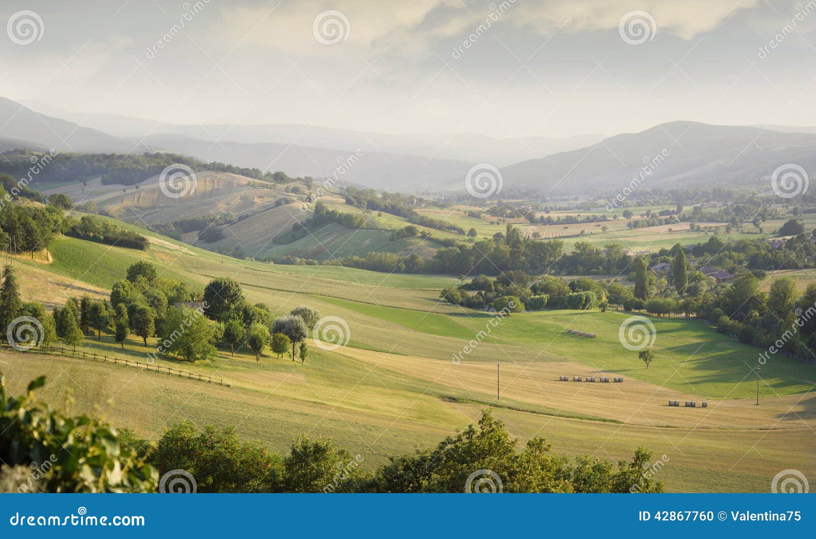 Rolling countryside stock photo. Image of plant, colorful - 42867760
