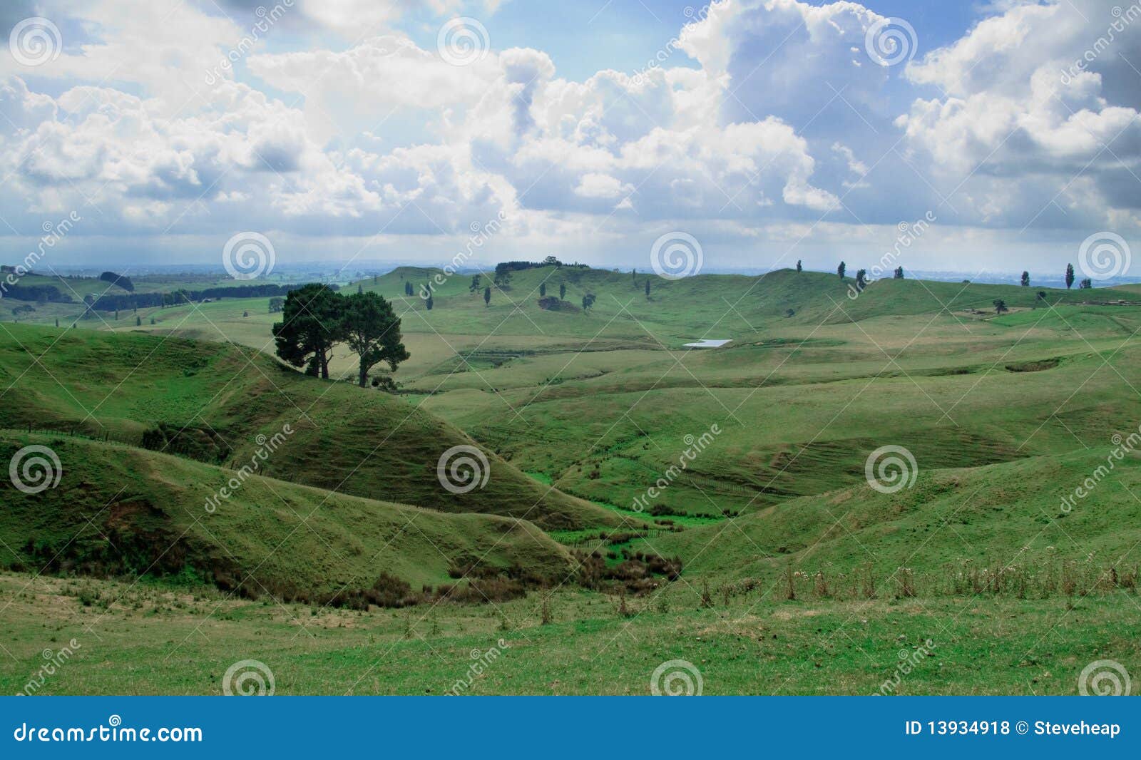 Rolling Countryside in New Zealand Stock Photo - Image of shire, field ...