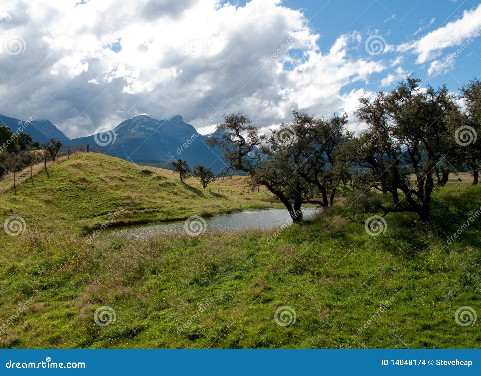 Rolling Countryside in New Zealand Stock Photo - Image of grassland ...
