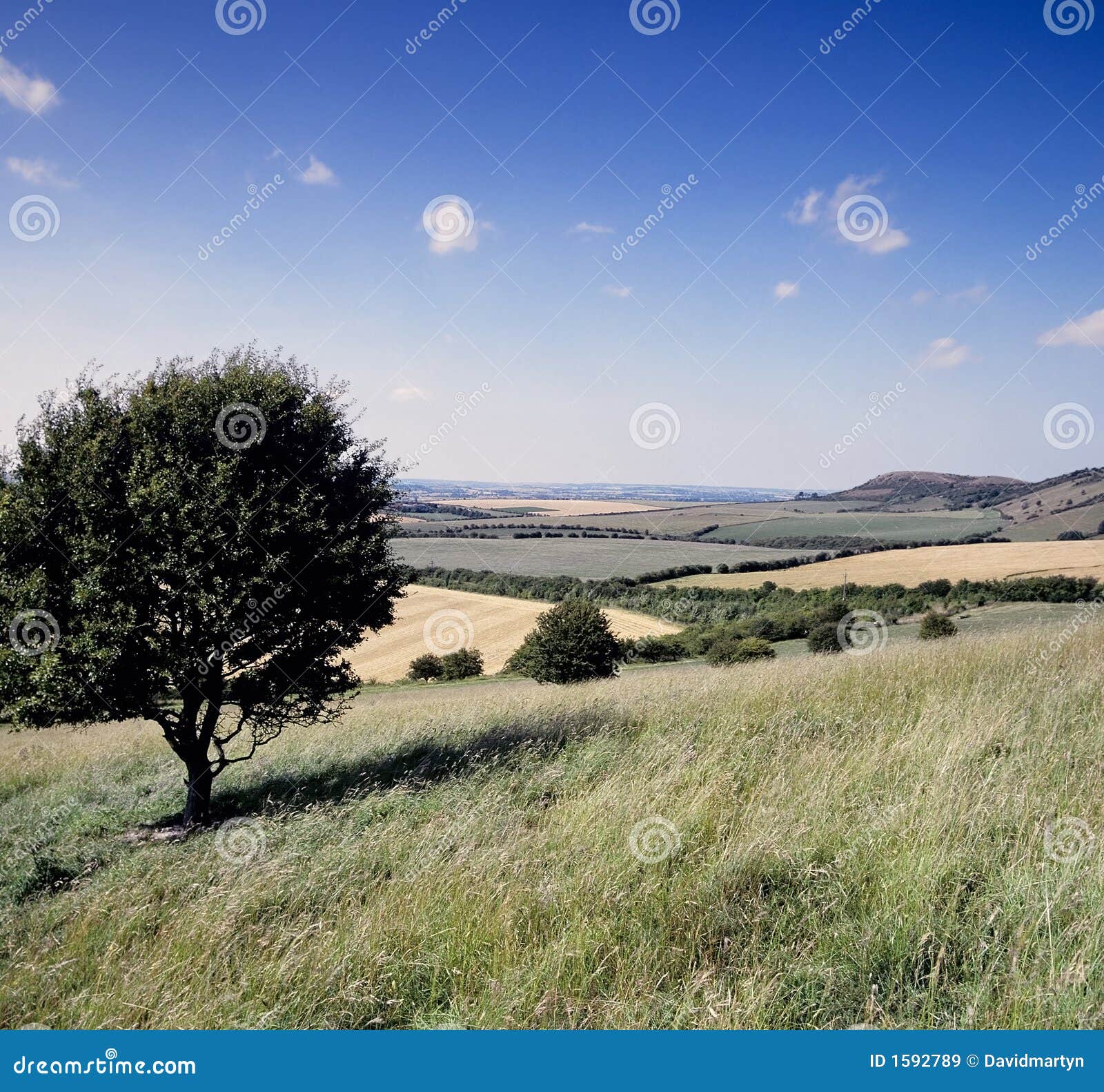 Rolling English Countryside Stock Image - Image of england, beautiful ...