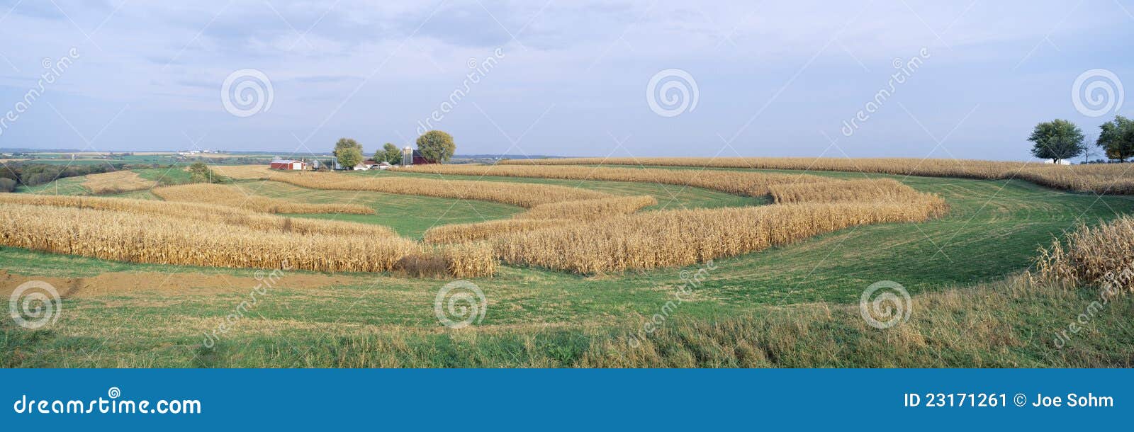 Farm Fields, Green Pastured, Hedgerow Paths In English Rural ...