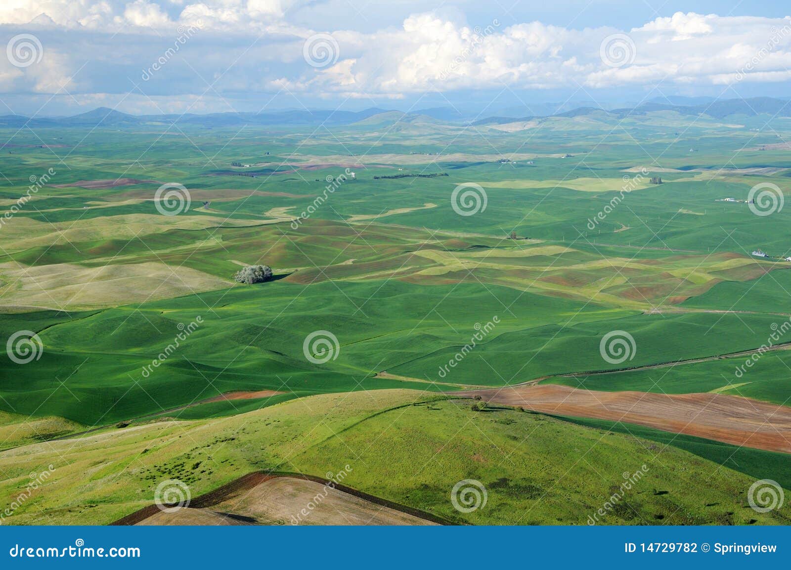 Rolling farmland stock photo. Image of field, rolling - 14729782