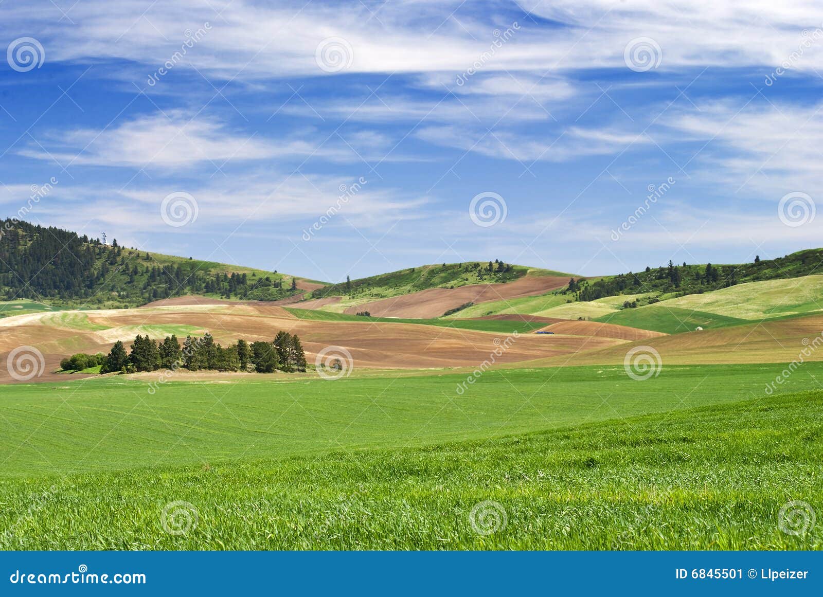 Rolling Farmland stock image. Image of farmland, clouds - 6845501