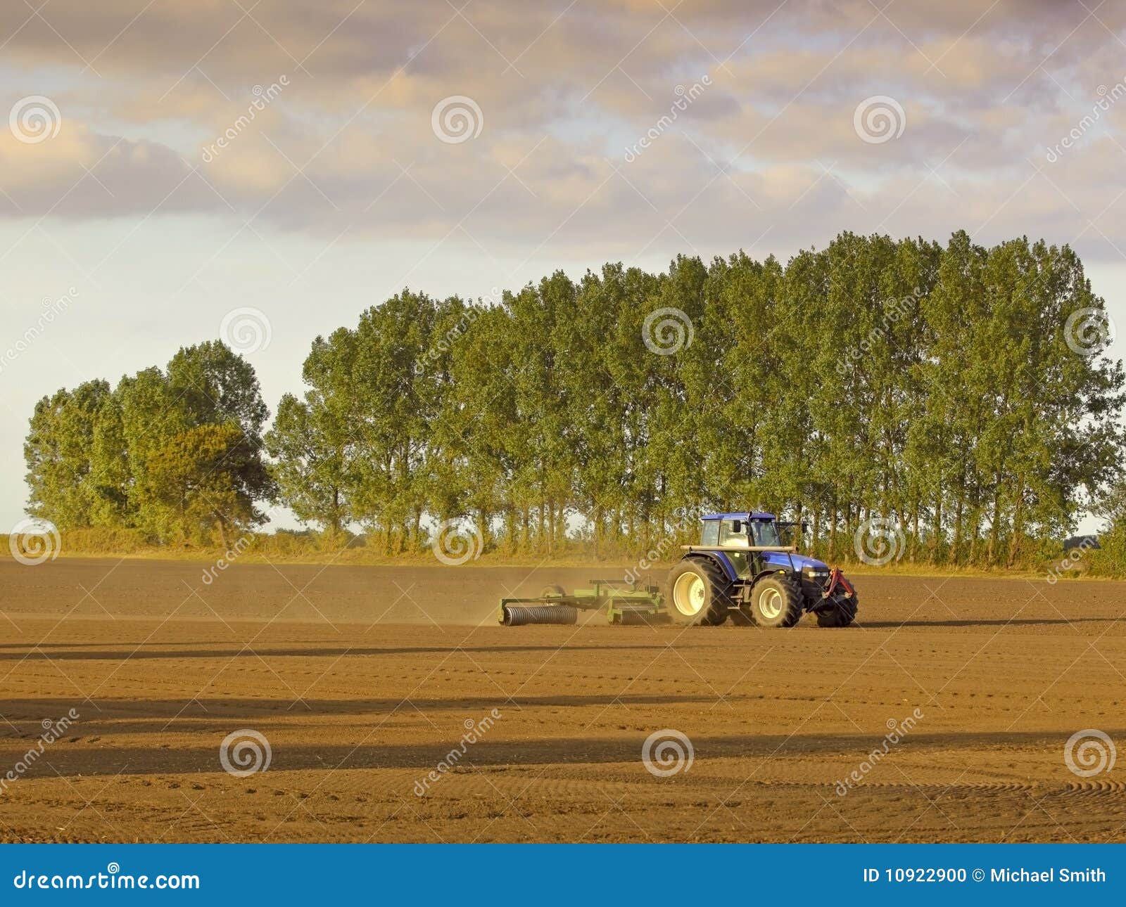 Rolling a field stock photo. Image of farming, evening - 10922900